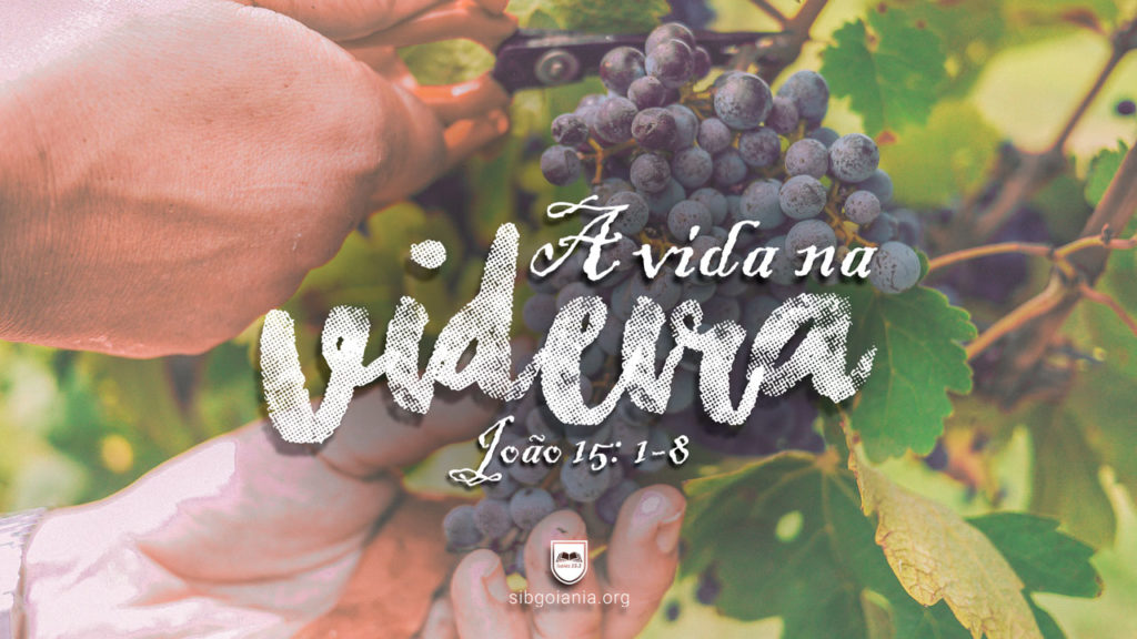 A Vida na Videira - Segunda Igreja Batista em Goiânia